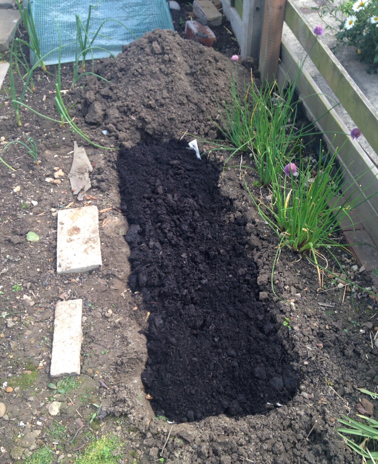 How to compost in a trench - Zero Waste Leeds